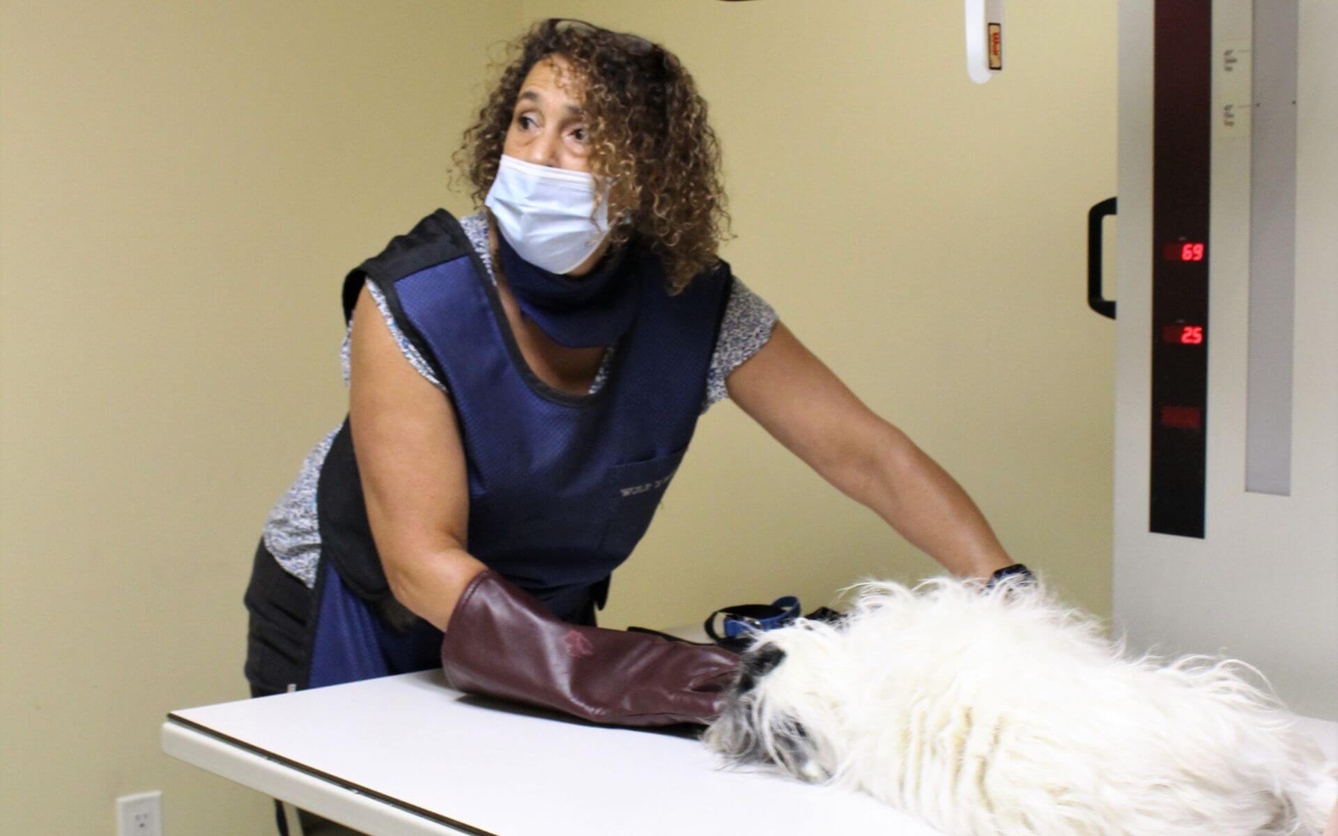 Surgery To Go Home Instructions Form | Leach Animal Hospital